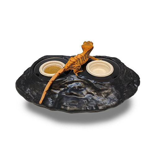 Small Cup Adapter For Pangea Ultimate Gecko Ledge